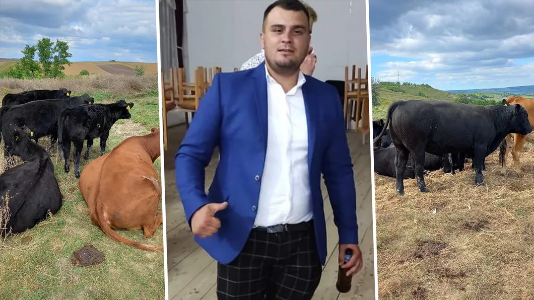 A vrut să devină jucător de rugby dar un accident i a schimbat planurile