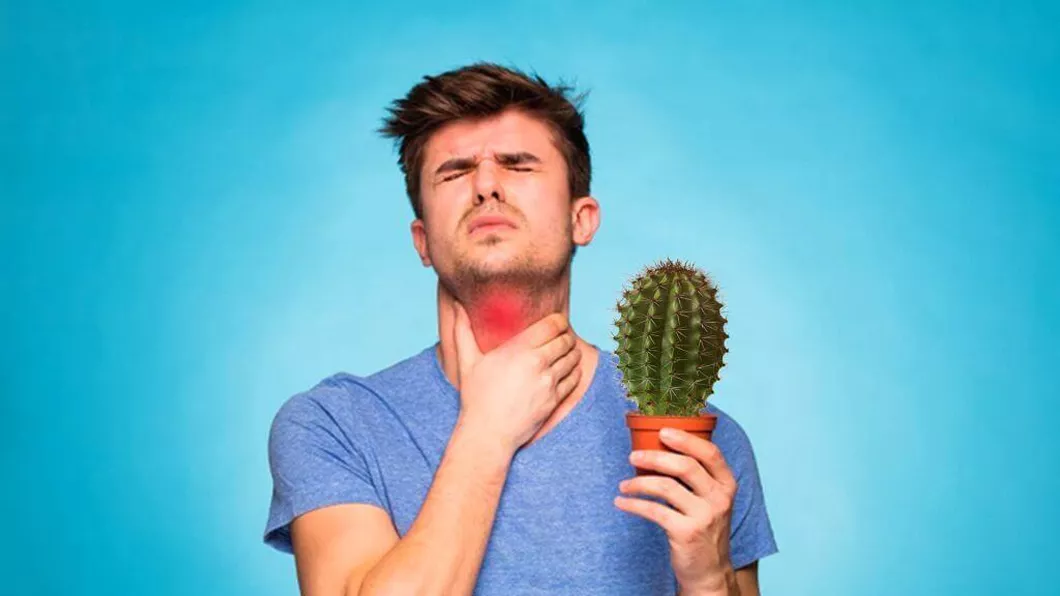 Tratament pentru gât uscat și iritat. Când trebuie să te adresezi unui ...