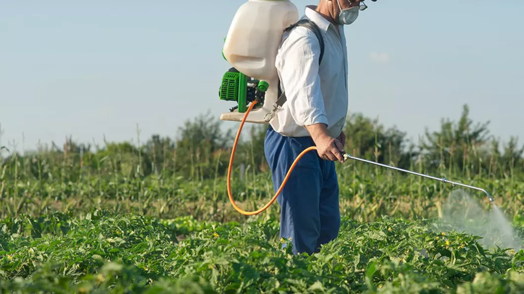 Când se dă cu erbicid total. Factorii de care trebuie să ții cont în ...