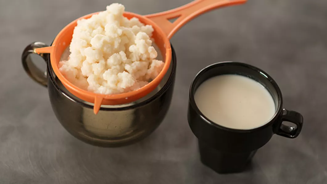 Ciuperca de chefir tibetană. Cum se prepară acest antibiotic natural ...