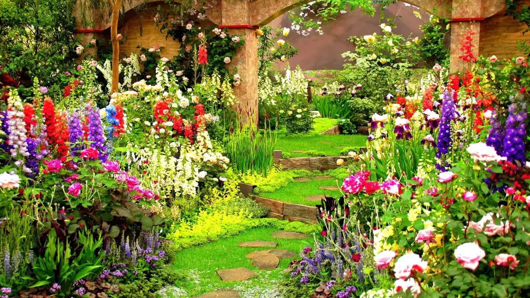 Cele mai comune flori de grădină care înfloresc tot anul