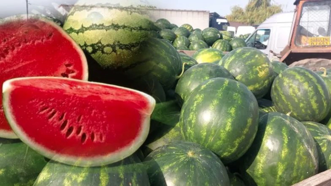 Nu este nicio glumă! Cât costă 1 kg de pepeni de Dăbuleni la tarabă ...