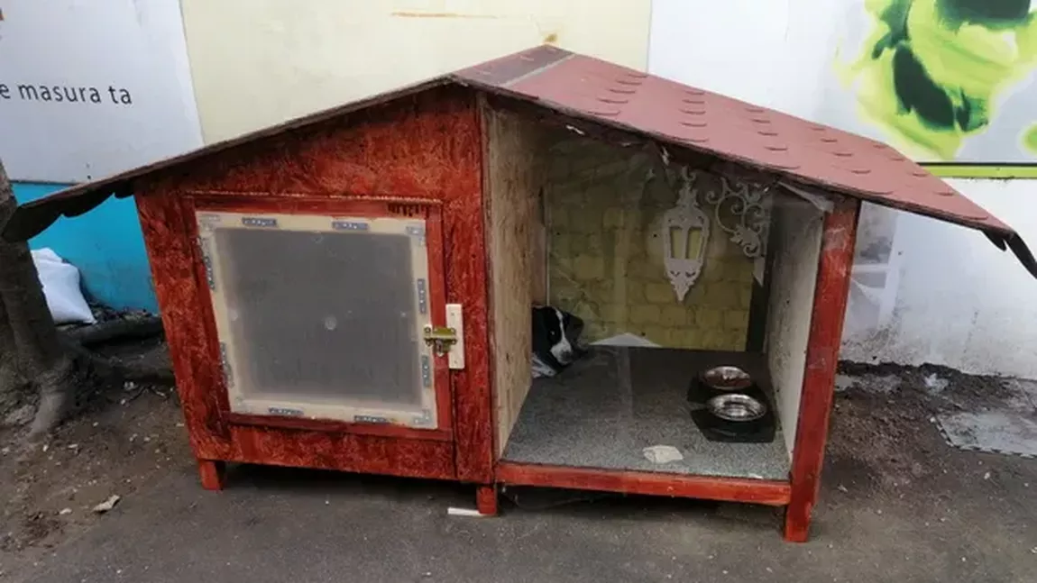 Un copil de 12 ani a murit acum o lună. Tatăl său, pentru a-i încasa încă