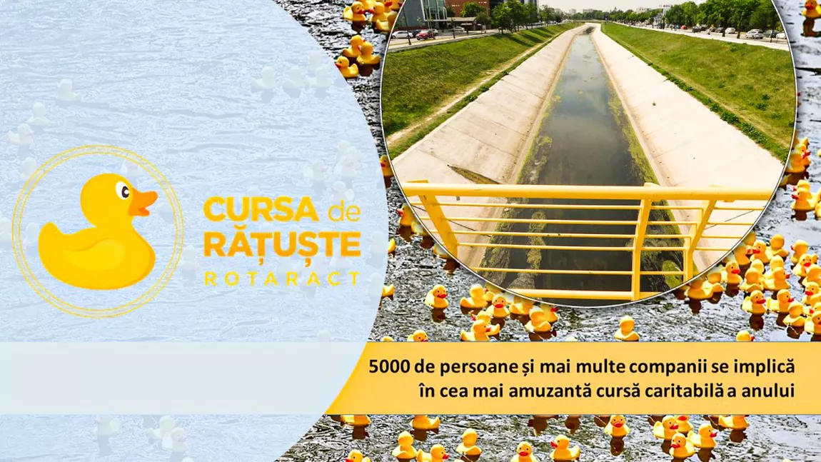 Cursă de rățuște de cauciuc pe Bahlui. Câștigătorul va primi