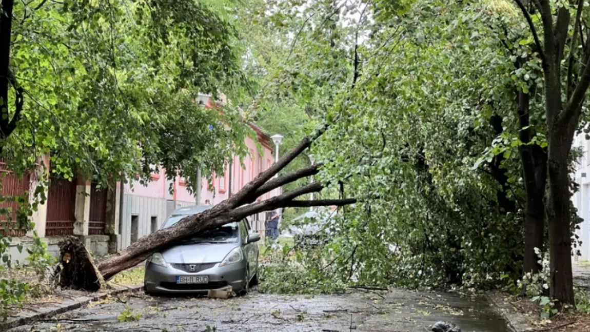 Furtuna a făcut prăpăd în Oradea. Zeci de intervenţii pentru ...