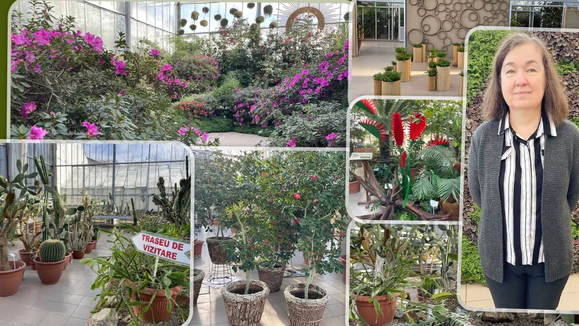 Expoziție spectaculoasă de plante exotice în Grădina Botanică