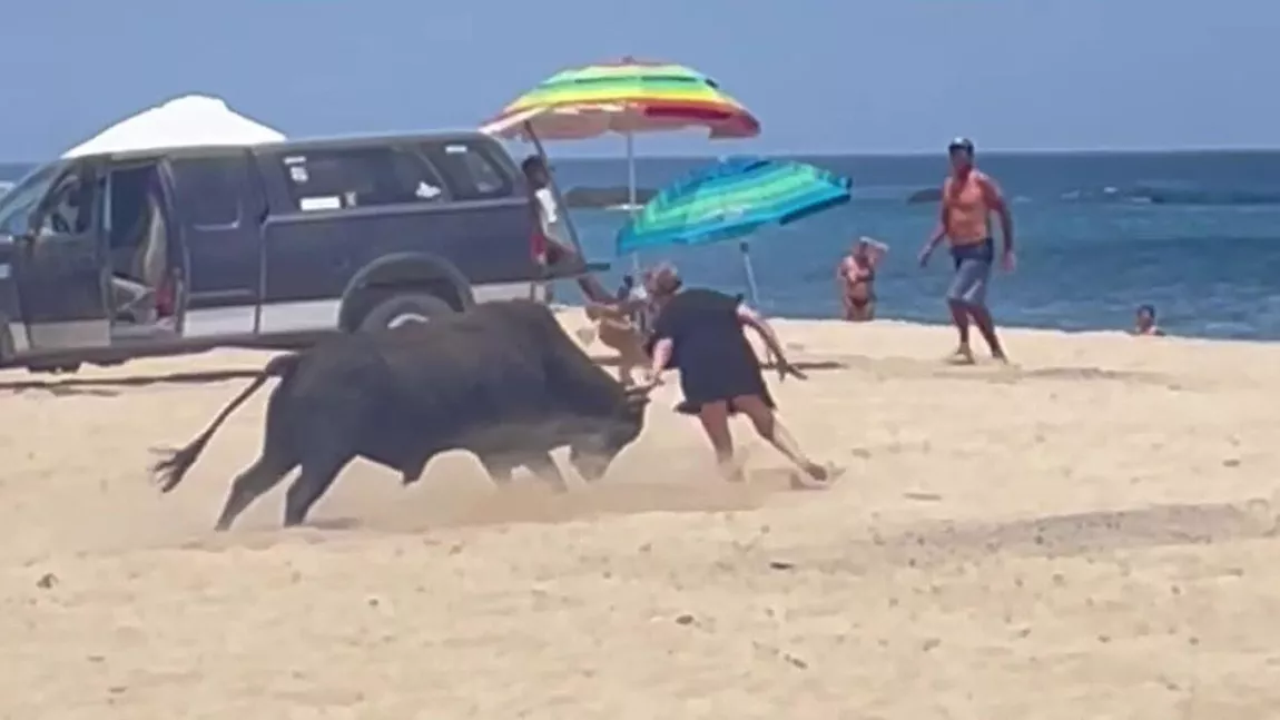 BZI.ro - Un taur a atacat o femeie aflată pe plajă. Cum a reușit ...