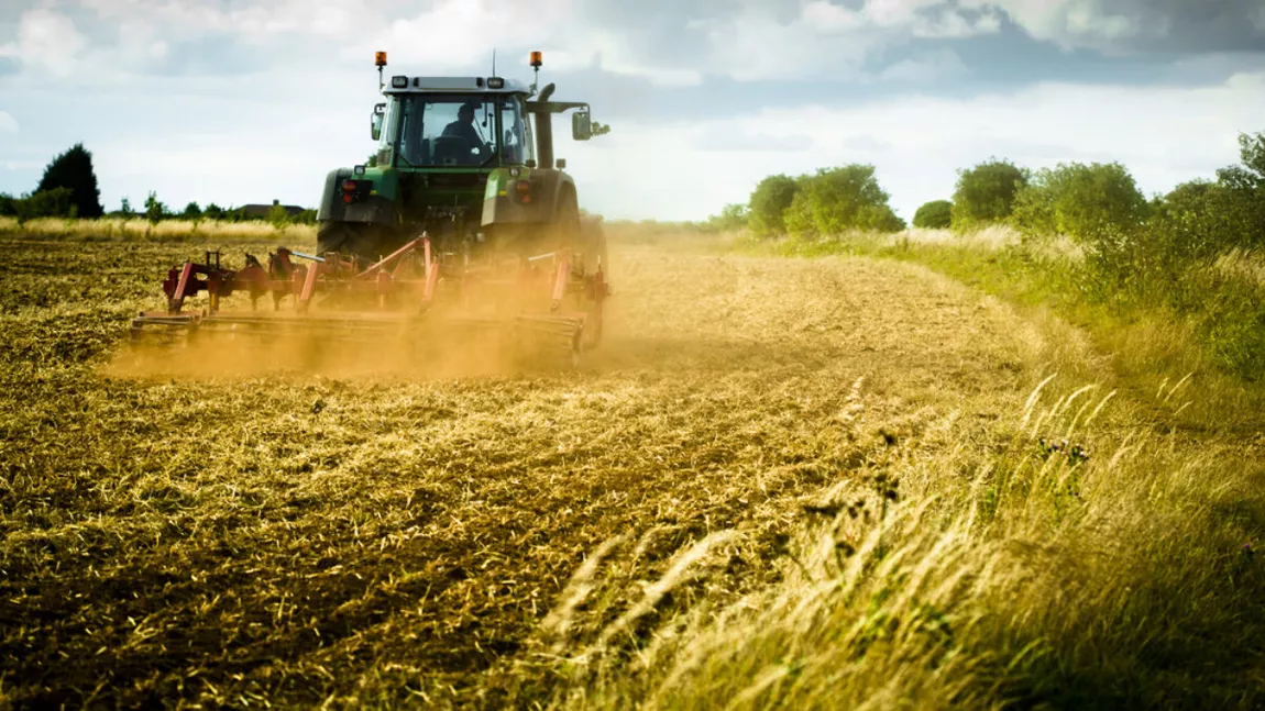 Se dau bani de la stat pentru fermieri. Ce sumă primesc aceștia • Buna ...
