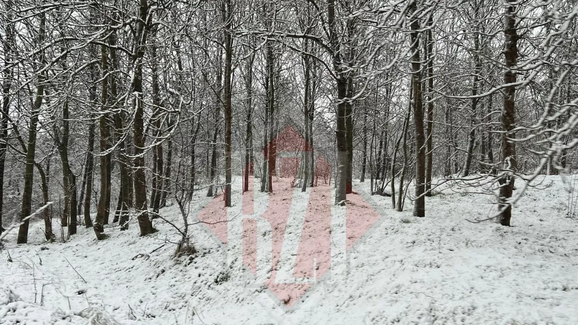 Imagini! Prima ninsoare din acest sfârșit de toamnă s-a așternut peste ...