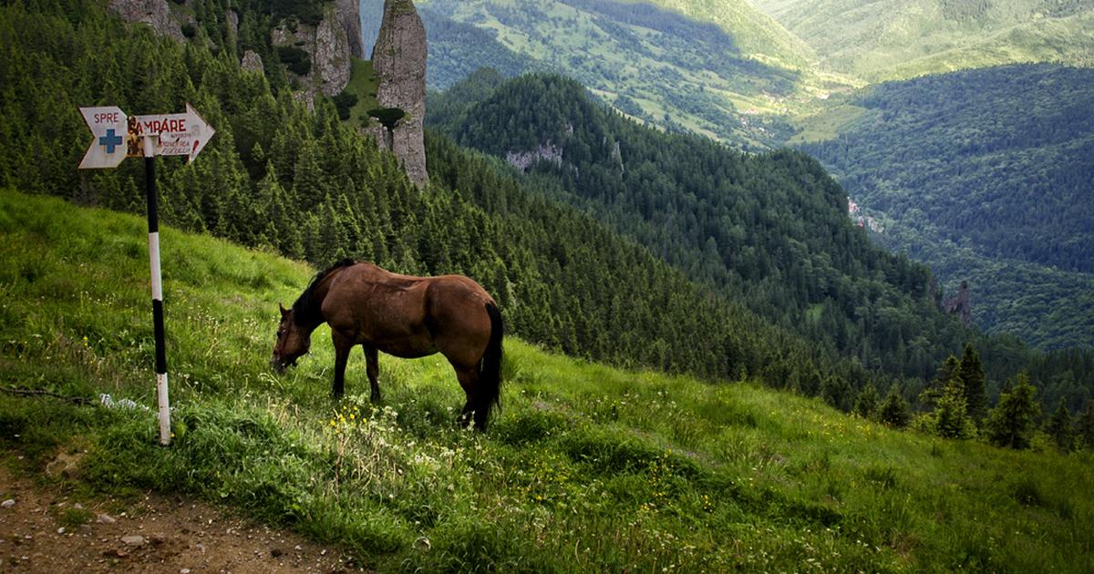 Excursie de 3 zile în România: Locuri de poveste