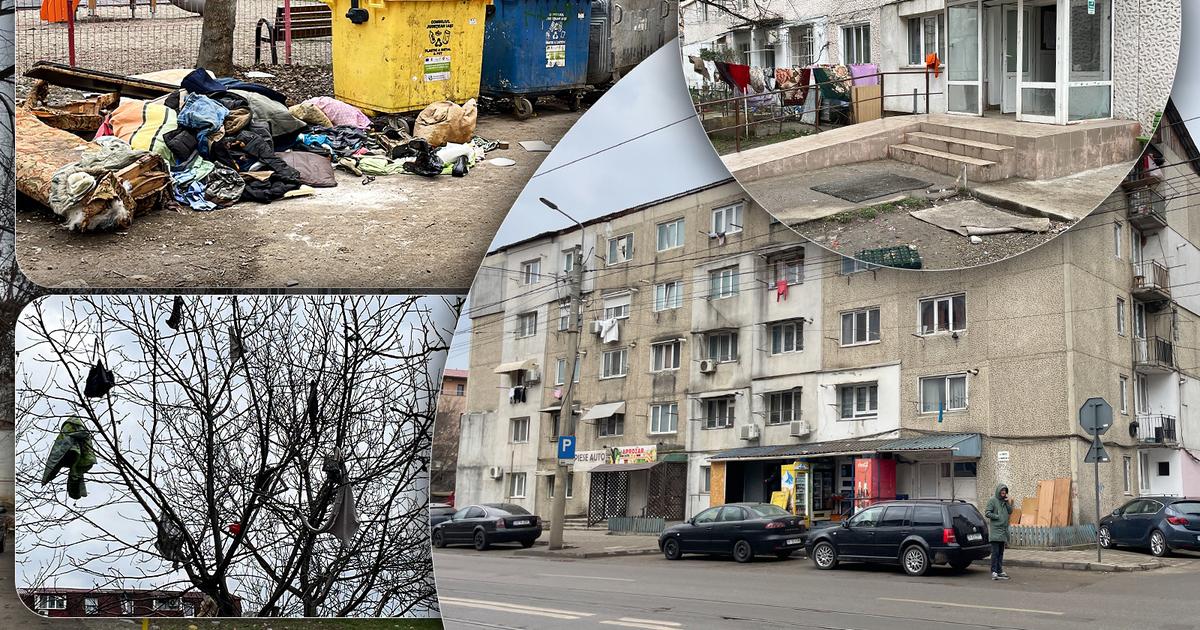 Căminul groazei de pe strada Canta, nr. 60B. Proprietarii sunt