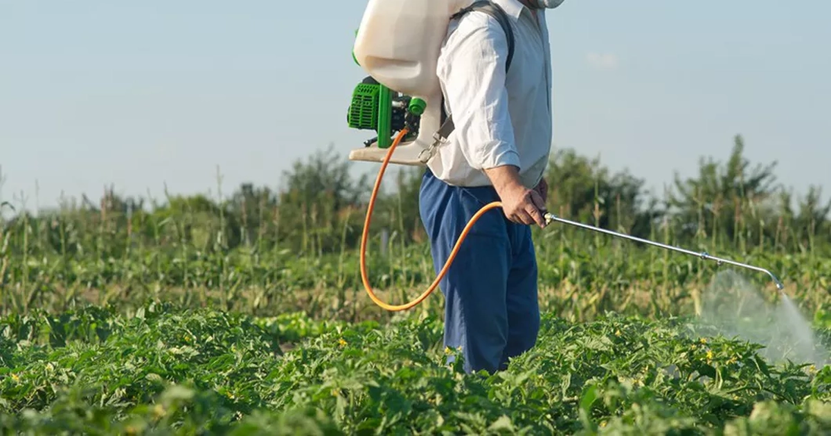 Cât timp trebuie să nu plouă după erbicidare? Recomandări generale ...