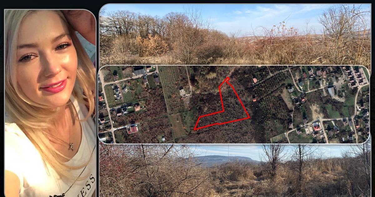 Partenera lui Solcanu Jr. construiește un cămin de bătrâni în Iași