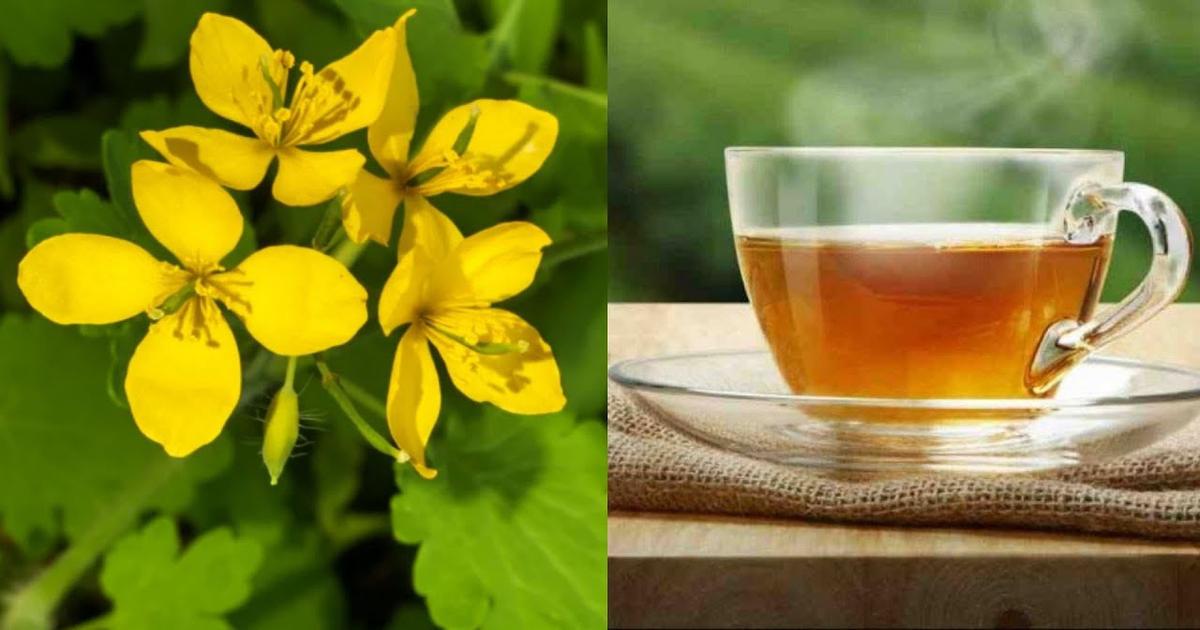 Ceai de rostopască pentru ficat. Când devine toxic acest ceai • Buna ...