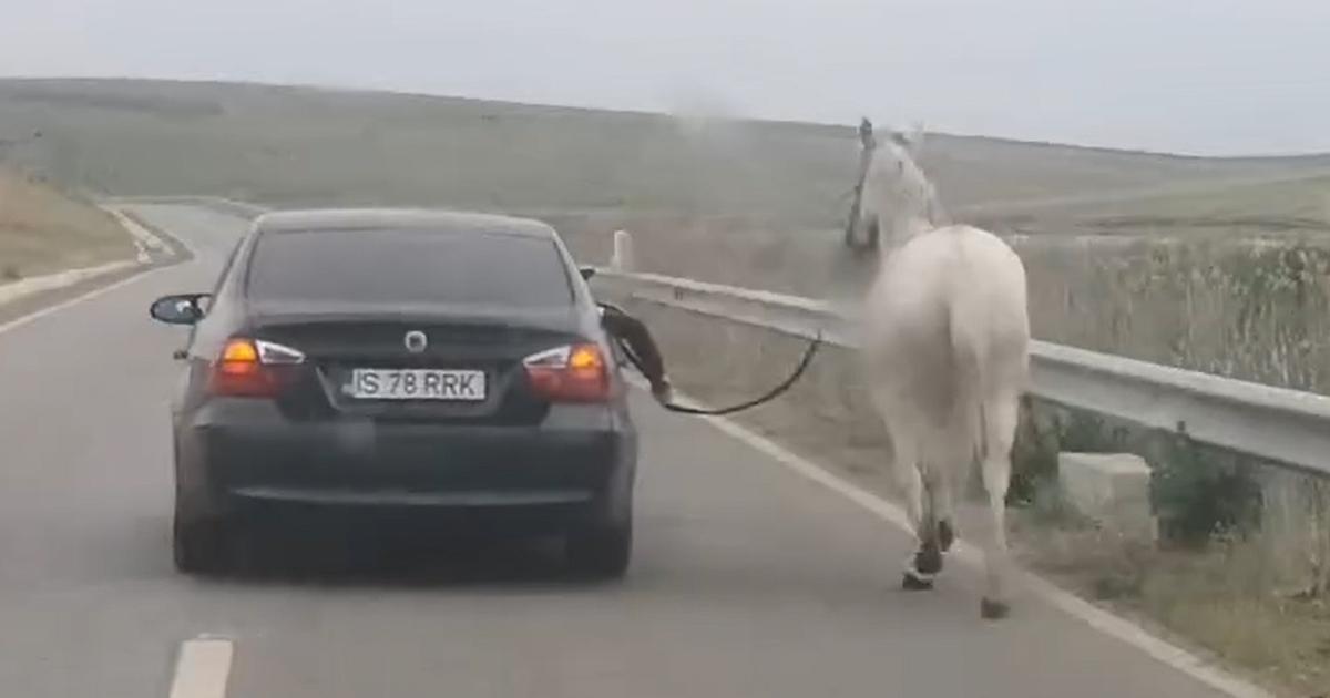 Poliția face cercetări după ce mai mulți indivizi