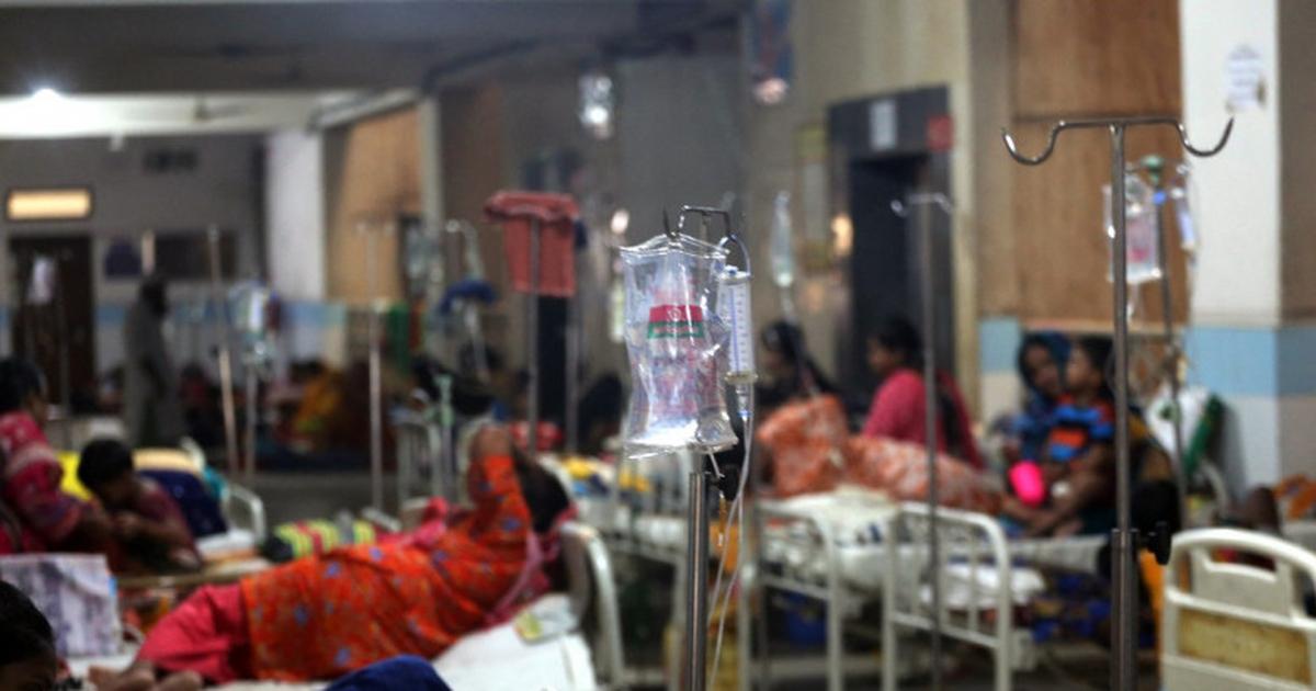 Boala transmisă rapid în Europa a ajuns şi în România! Avertisment ...