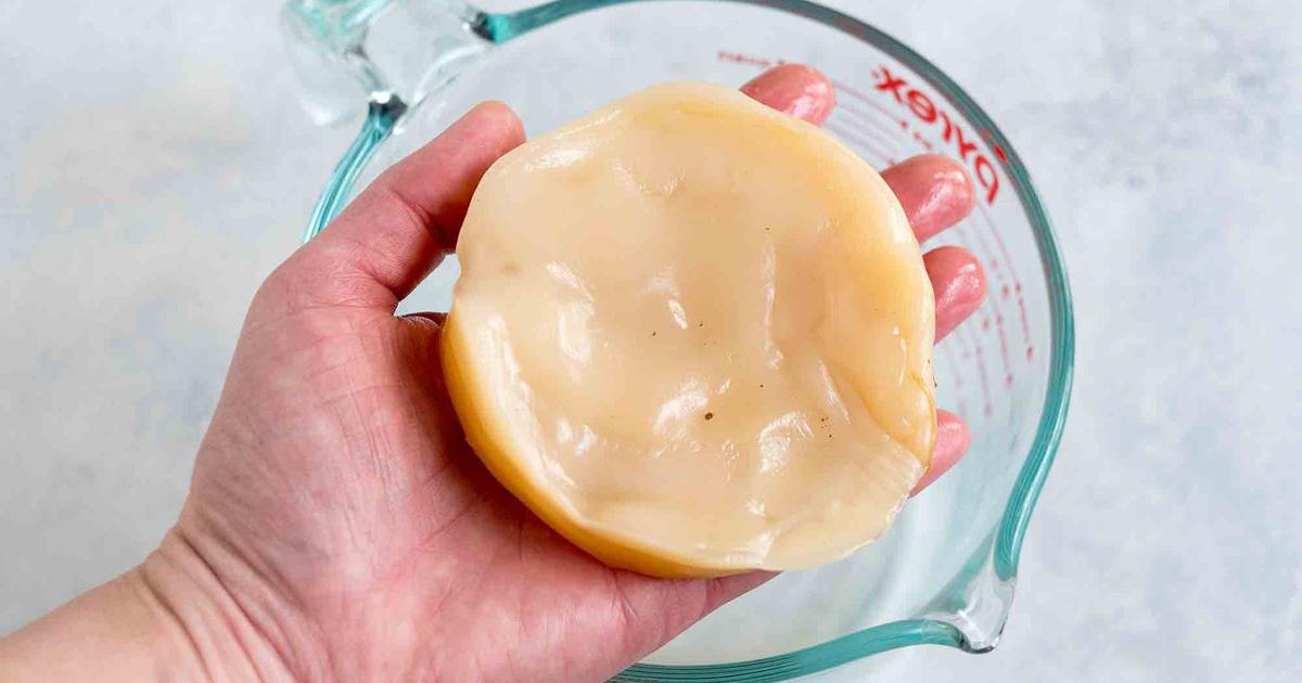 Ciuperca Kombucha, ciuperca nemuririi, leacul antic pentru problemele ...