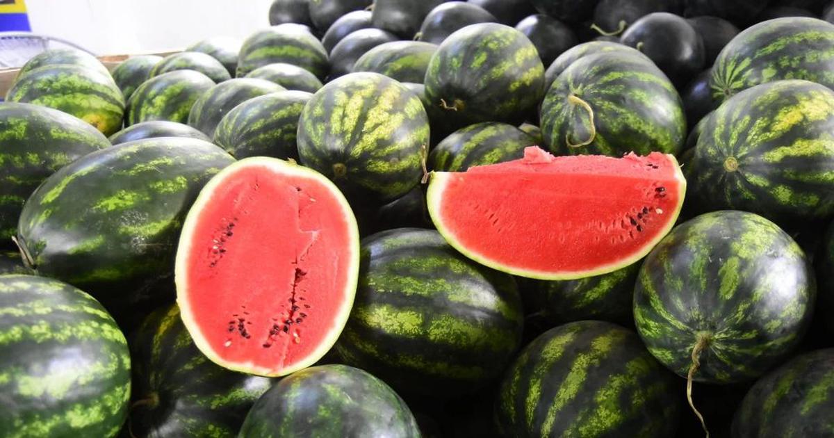 Pepenele, un pericol pentru sănătate! „Planta nu mai face fotosinteză ...