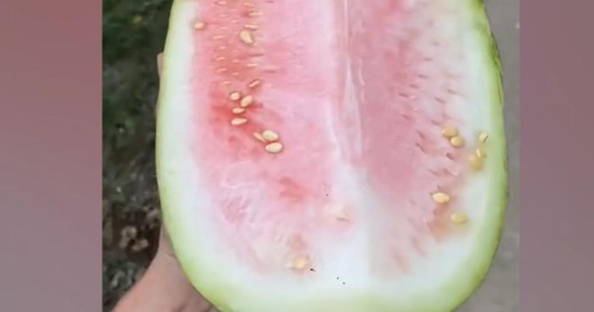 Un român s-a întors la supermarket, să-și ia banii pe un pepene necopt ...