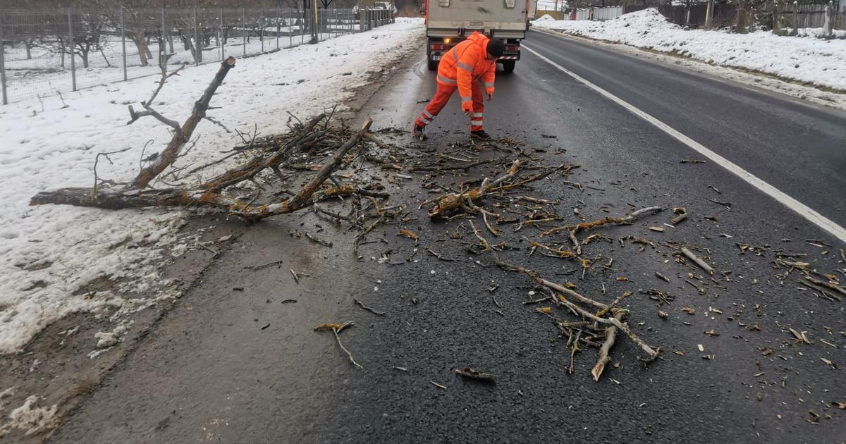Resturi arboricole, îndepărtate de pe carosabil în zona Poieni • Buna ...