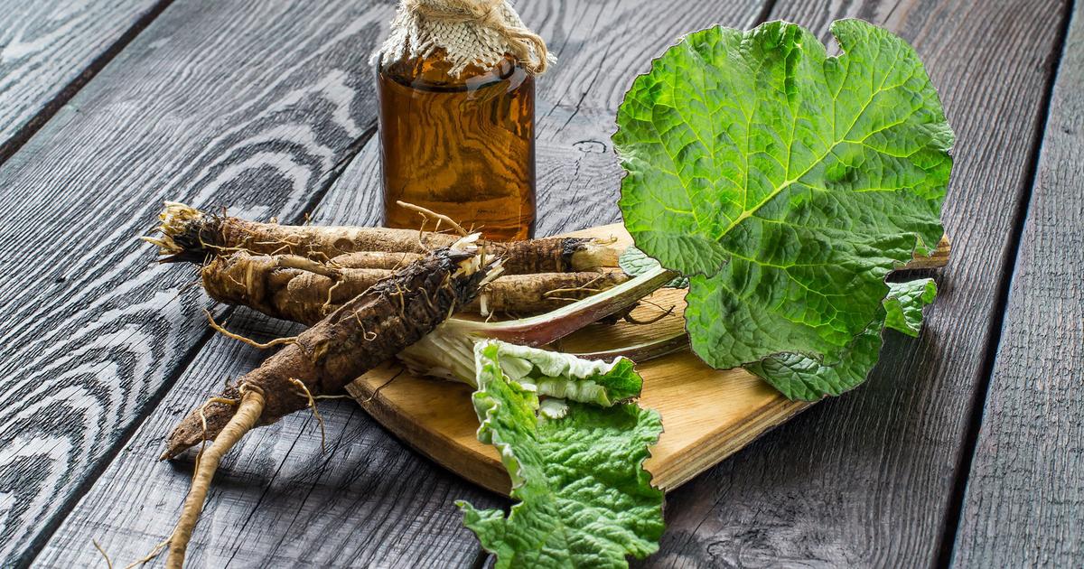 Frunza de brusture în remediile naturiste. Beneficii și utilizări în ...