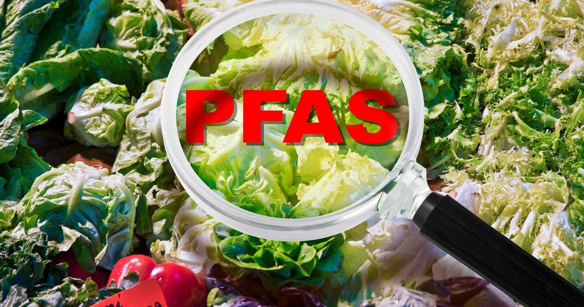 UE plănuiește interzicerea substanțelor PFAS. Ce sunt și în ce fel afectează sănătatea • Buna ...