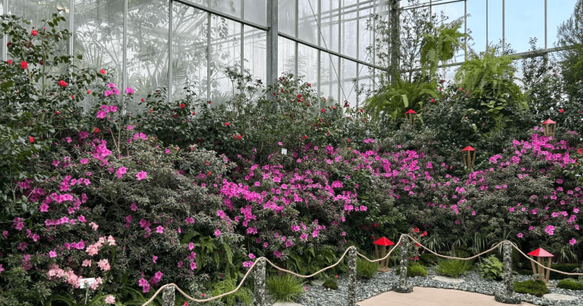 Grădina Botanică din Iași dă startul Expoziției de Plante