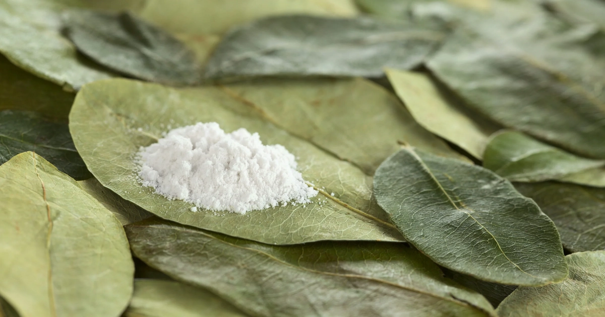 Frunza de coca ar putea fi legalizată! Columbia principala susținătoare