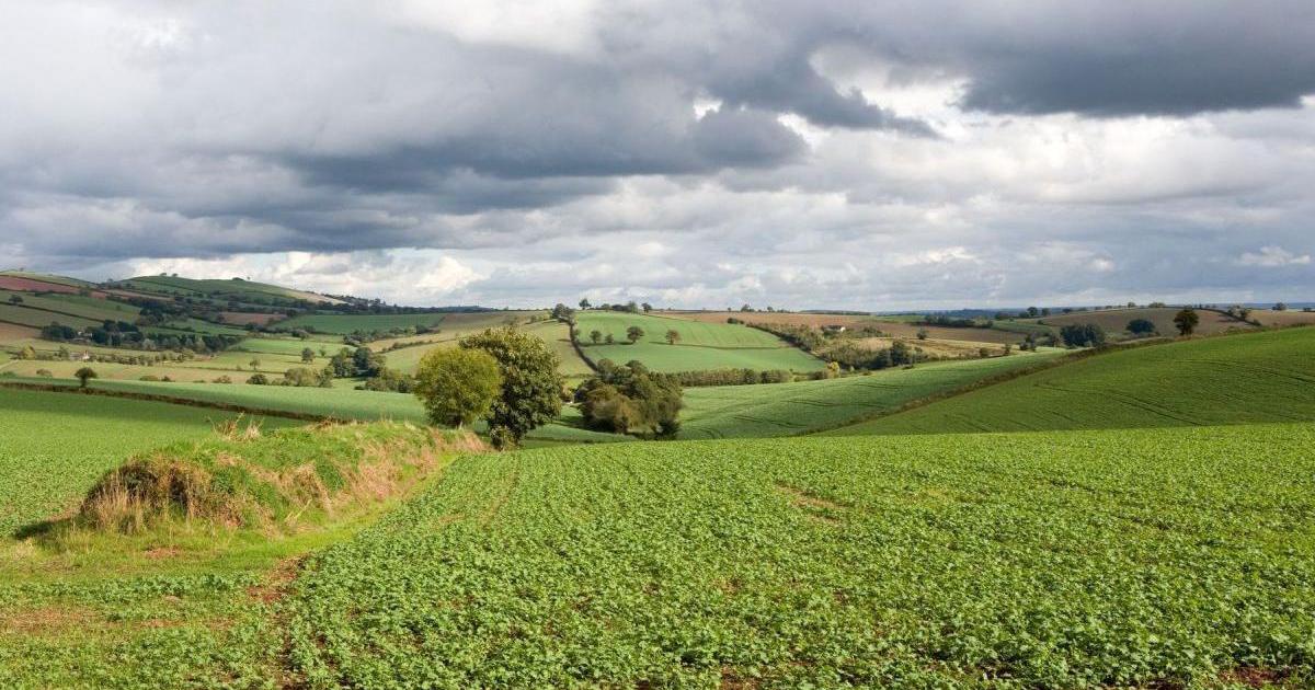 Acești proprietari de terenuri agricole pot rămâne fără pământ! Legea ...
