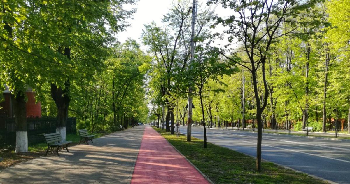 Noua modă pe Copou. Priviți ce au fost în stare să facă doi