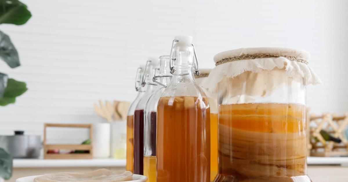 Ce este ciuperca kombucha și ce contraindicații poate avea asupra ...