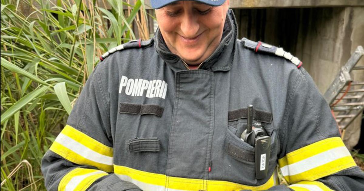 Șase vieți mici, o misiune mare. Pompierii ieșeni au salvat boboci de ...