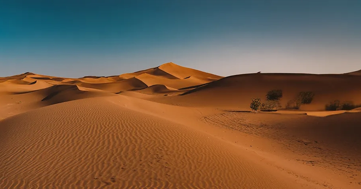 Unde se află deșertul Gobi? Iată câteva lucruri interesante despre ...