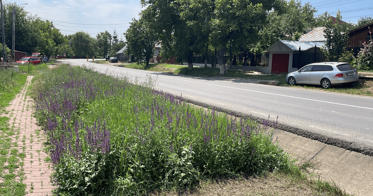 Consiliul Județean Iași începe procedura de expropriere! Oamenii nu ...