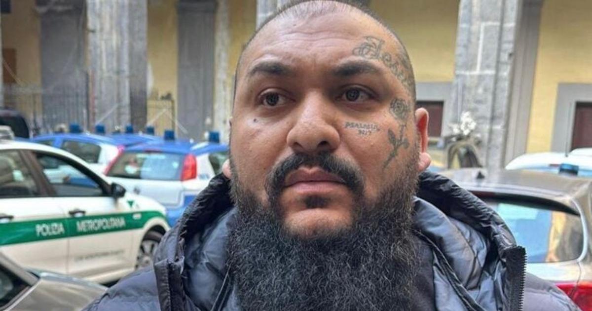 Alexandro Tirelli, avocatul lui Pablo Escobar, luptă să-i salveze pe ...