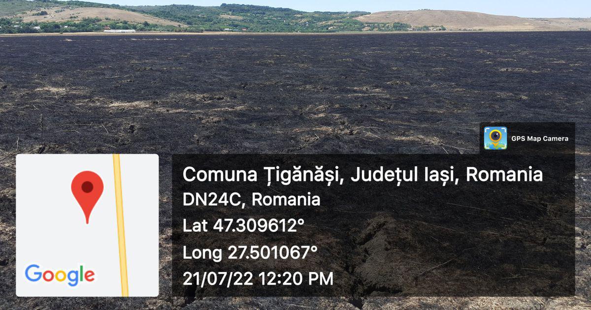 Arie naturală din Iași, protejată de interes internațional este arsă ...