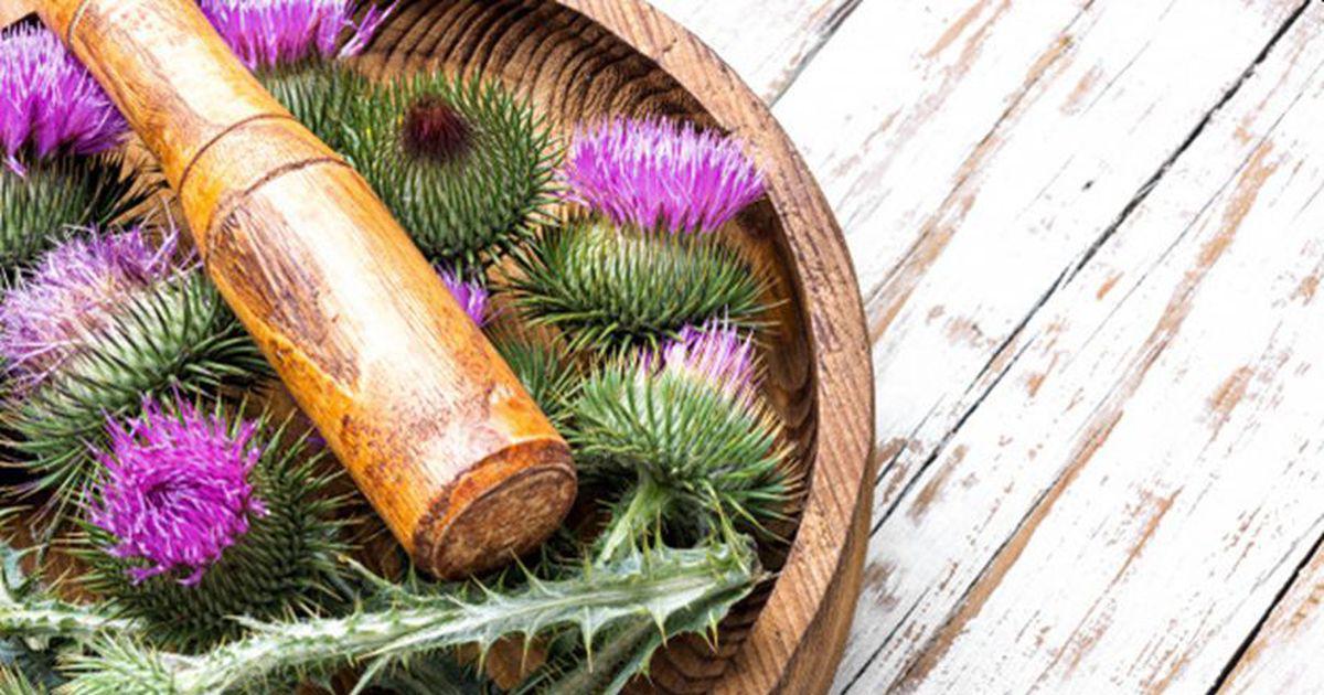 Ce este silimarina și pentru ce se utilizează? Beneficii ...