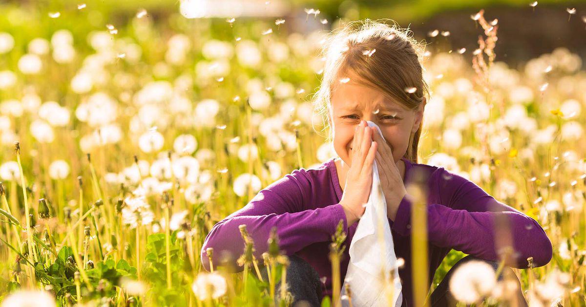 Din ce cauză apare febra fânului? De ce factori este declanșată alergia ...