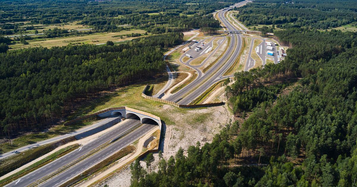 Autostrada Via Carpatia va avea sute de kilometri pe teritoriul ...