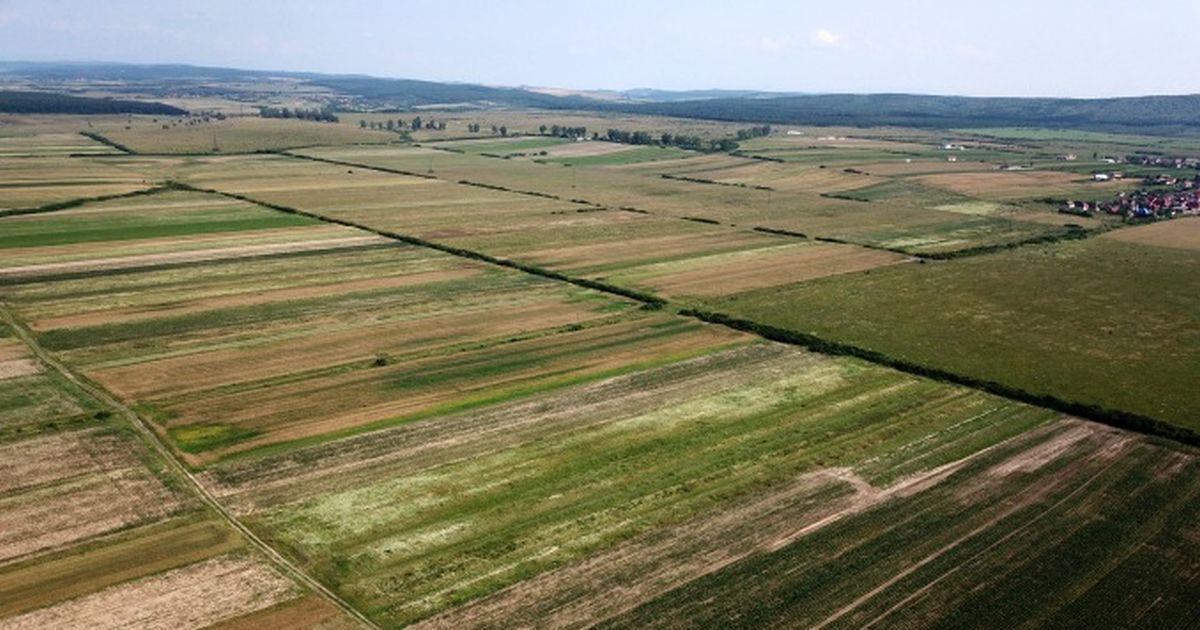 Suprafețe mici de terenuri agricole, vândute cu peste 50.000