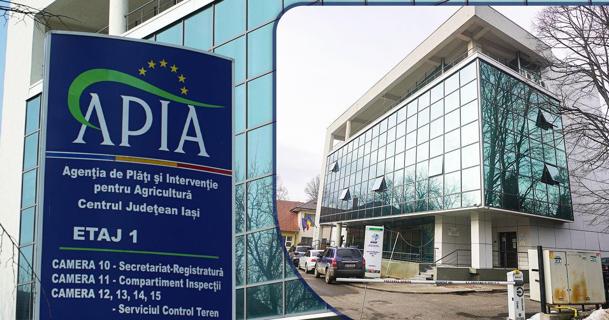 Anunț pentru fermierii din Iași! Pot cere adeverințele de la APIA ...