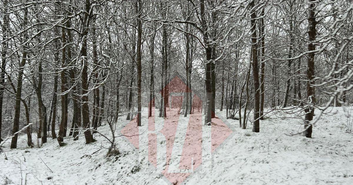 Imagini! Prima ninsoare din acest sfârșit de toamnă s-a așternut peste ...