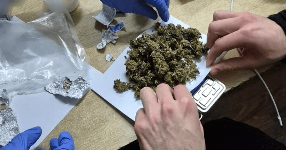 Tânăr de 23 de ani reținut pentru trafic de droguri în Iași. Individul ...