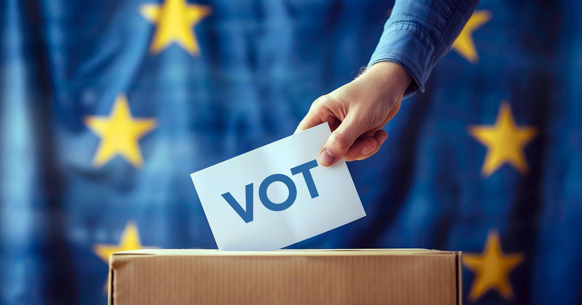 Bătălia finală pentru Cotroceni: Călin Georgescu vs. Elena Lasconi! Cum ...