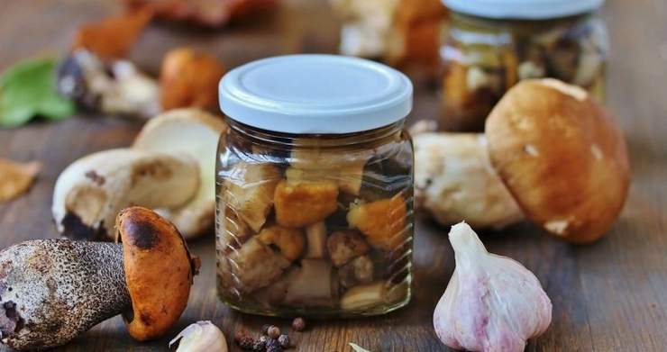 Bureți la borcan pentru iarnă. Cum să identifici ciupercile necomestibile
