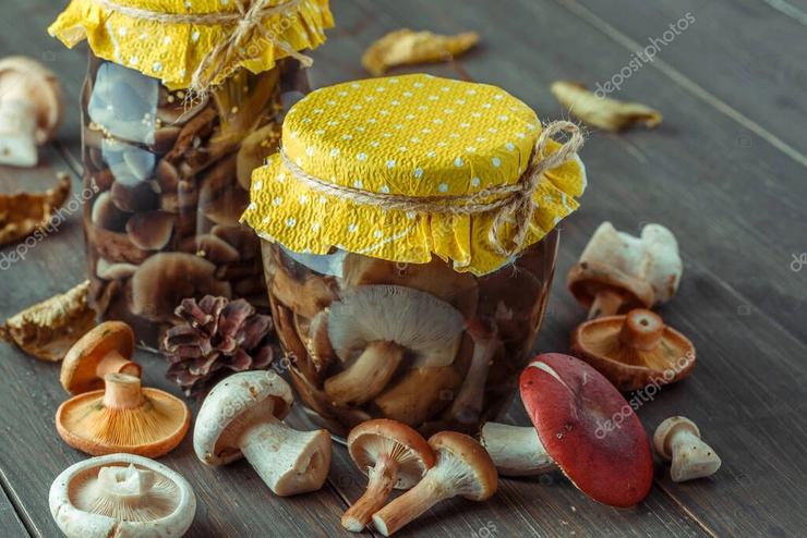 Bureți la borcan pentru iarnă. Cum să identifici ciupercile necomestibile